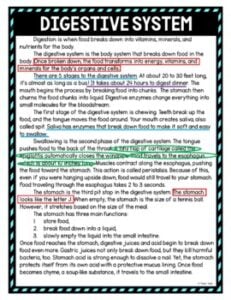 Digestive System Color by Number, Reading Passage and Text Marking