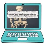 Skeletal System Interactive Google Slides™ Presentation | Digital