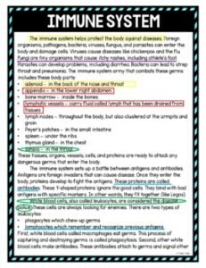 Immune System Color by Number, Reading Passage and Text Marking
