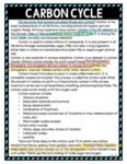 Carbon Cycle Color by Number, Reading Passage and Text Marking