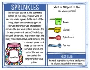 Human Body Systems Activity - Scavenger Hunt Challenge - Biology