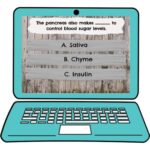 Digestive System Interactive Google Slides™ Presentation | Distance ...