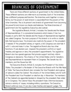Branches of Government Text Marking Detective Mystery - Reading ...