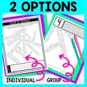 Respiratory System Color by Number - Close Reading & Text Marking ...