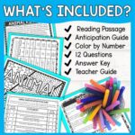 Animal Kingdom Color by Number, Reading Passage and Text Marking ...