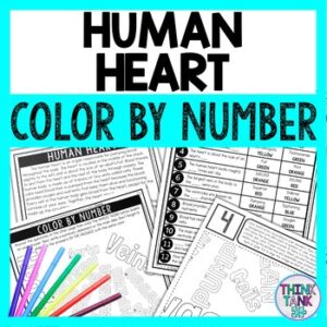 Human Heart Color by Number - Close Reading & Text Marking - Think Tank ...