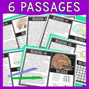 Human Brain Reading Comprehension and Puzzle Escape Room - Nervous ...